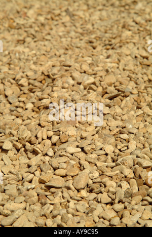 pea gravel pathway Stock Photo - Alamy