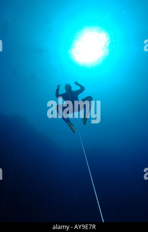 Freediving training in the depth of Blue Hole Stock Photo - Alamy