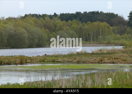 Mere Sands Wood Nature Reserve of Lancashire Wildlife Trust near ...