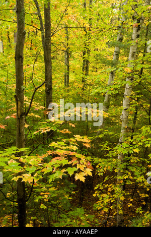 Meredith new hampshire in fall Stock Photo - Alamy