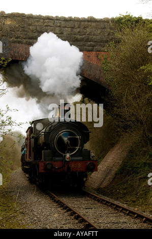 A steam train going under a bridge Stock Photo - Alamy
