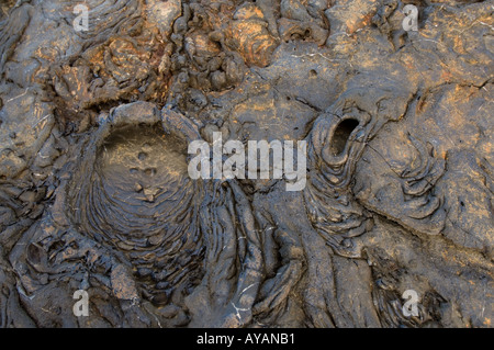 Pahoehoe lava with gas escape structures, Sullivan Bay Santiago Island ...
