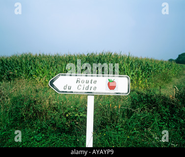 Route du Cidre (Cider Route), Auge Valley, Normandy, France, Europe ...