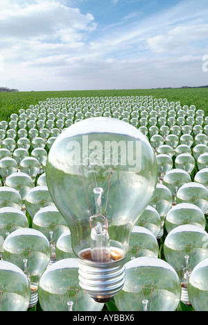 Light bulb in field Stock Photo - Alamy
