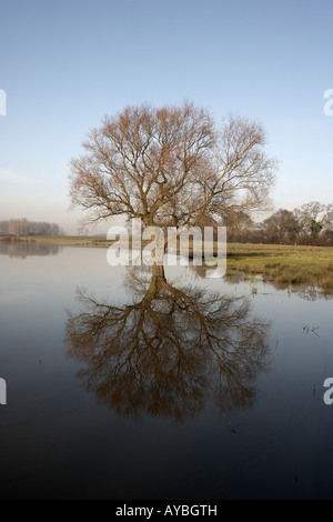 Flooding in Bubwith, East Yorkshire The River Derwent burst its banks ...