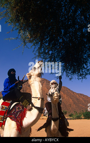 Niger, Timia. A tribal Tuareg and his Camels at the Oasis of Timia ...