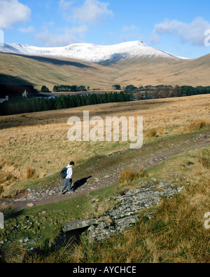pen y fan from the roman road brecon beacons national park powys wales ...