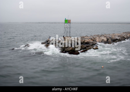 Fishing off the rock jetty , Fishing, Seas, Jetties, Tichnor Brothers ...