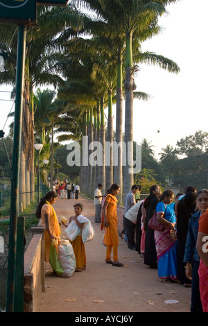 Trees in Lalbagh Stock Photo - Alamy