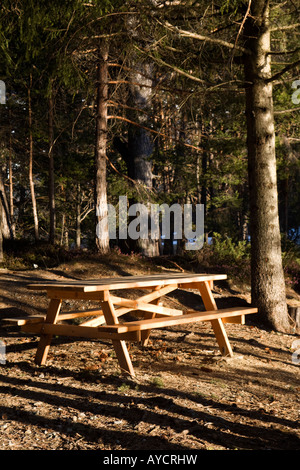 bench wooden pic nic table sandy beach view in summer day on Cap Ferret ...