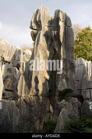 Intricate formations of Shilin, Stone Forest in the Lunan Yi ...