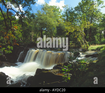 A serene waterfall cascading over rocks into a calm pool, surrounded by ...