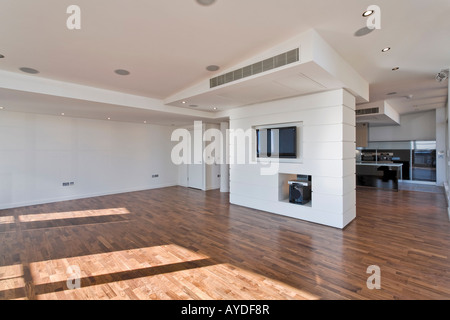 Leftbank Apartments, Spinningfields, Manchester, lounge and kitchen ...