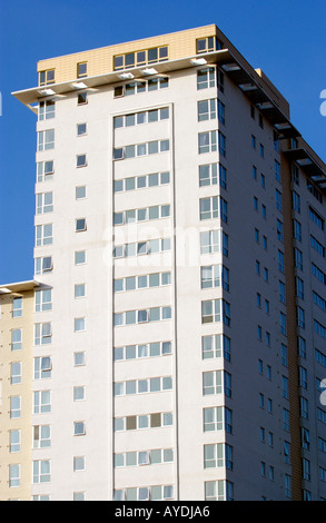 Ty Pont Haearn high rise apartments for university students in Cardiff ...