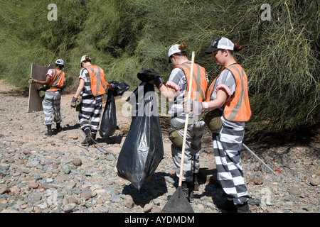 Phoenix Arizona A chain gang of woman inmates in Maricopa County jails ...