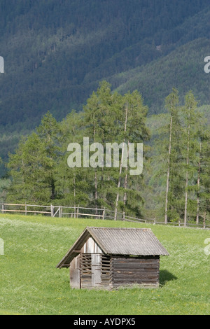 Traditional farming hut in the Austrian Alps Stock Photo - Alamy