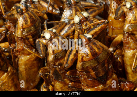 Fried Cockroaches For Sale, Bangkok, Thailand Stock Photo - Alamy