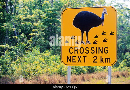 Warning signs of Cassowarys crossing along the road at Daintree ...
