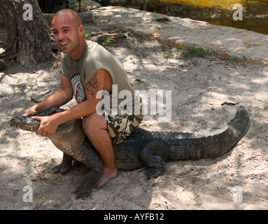 aligator wrestling florida Stock Photo - Alamy