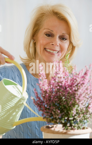 Senior gardener watering plant on table at home Stock Photo - Alamy
