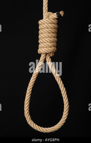 Rope, hangman's knot, cut-out Stock Photo, Royalty Free Image ...