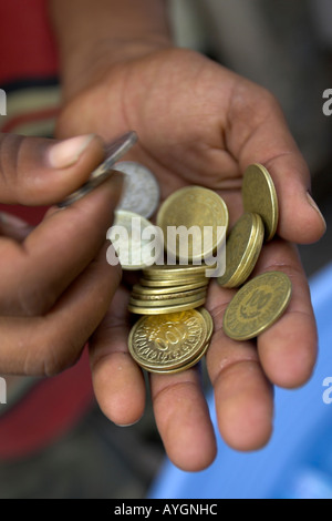 Tunisian money - Dinars in a counting machine Stock Photo - Alamy