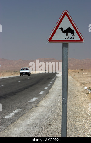 africa dangers of the animals on the road, elephant on the highway and ...