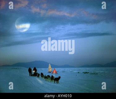 Cold night landscape lit by moonlight Stock Photo - Alamy