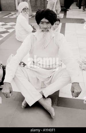 Old Indian Sikh man with black turban (dastar) poses for the camera ...