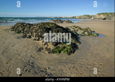 Rocks on Towan Beach at low tide in Newquay in Cornwall Stock Photo - Alamy