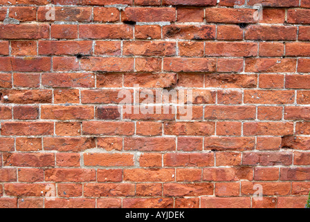 A Flemish Bond red brick wall severely weather damaged by frost spalling or by use of underfired ...