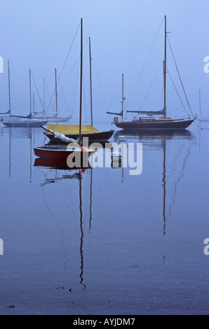 Castine, Maine, USA. Sail boats in the harbor at sunset Stock Photo - Alamy