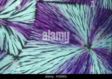 menthol crystals in polarized light Stock Photo - Alamy