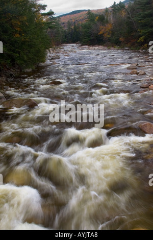 New River rapids in USA US West Virginia North America overhead from ...