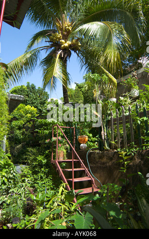 tropical backyard in Trinidad Stock Photo - Alamy