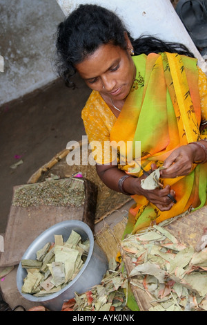 Woman in rural India rolling beedi cigarettes , Tamil Nadu , South ...