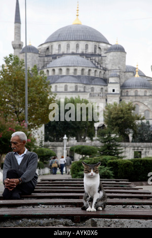 Muslim, man and cat in a mosque, happy and smile during, worship ...