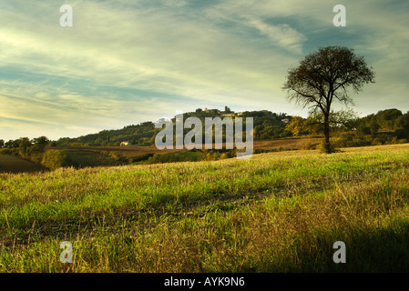Citerna medieval town Umbria Italy Stock Photo - Alamy