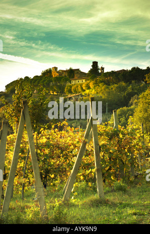 Citerna medieval town Umbria Italy Stock Photo - Alamy