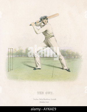 The Cut - Felix on the Bat Stock Photo - Alamy