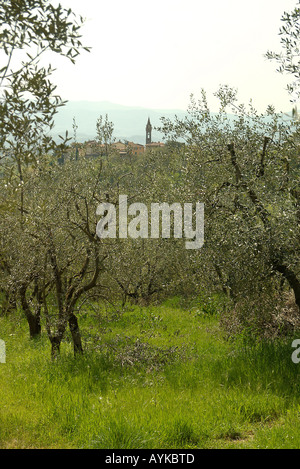 Le Balze Arezzo Tuscany Italy Stock Photo - Alamy