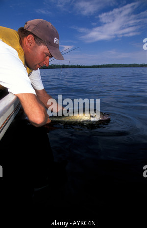 man with walleye Stock Photo - Alamy