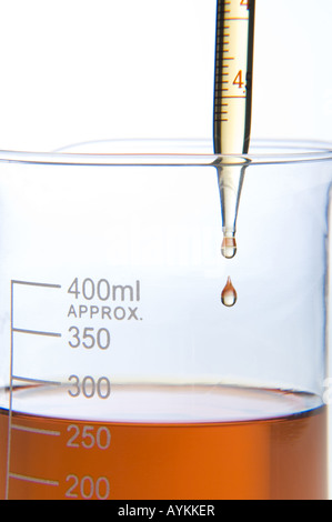 Yellow liquid dripping from pipette into petri dish closeup. Study of ...