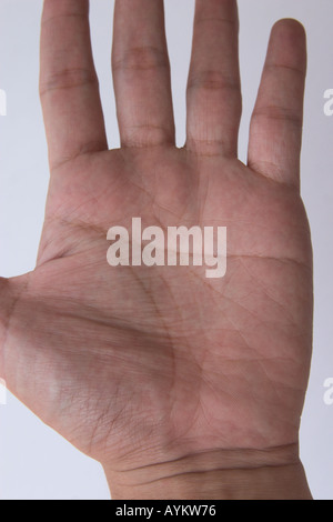 simian palm line Stock Photo - Alamy