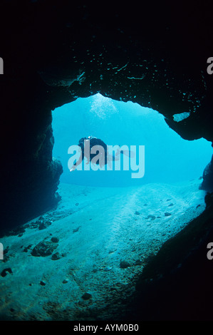 Cavediver entering Jackson Blue spring in Northern Florida USA Stock ...