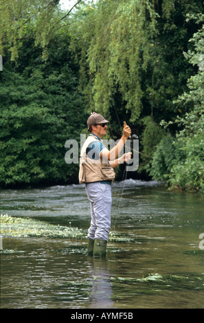 Fly fisherman with trout, River Test, Hampshire, England Stock Photo ...
