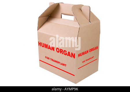 Human organ transplant carrying box Stock Photo - Alamy