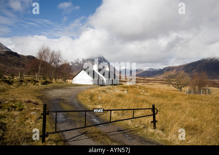 White Scottish Highland croft cottage with blue door and grazing sheep ...