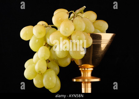 Grapes in calyx on dark background Stock Photo - Alamy