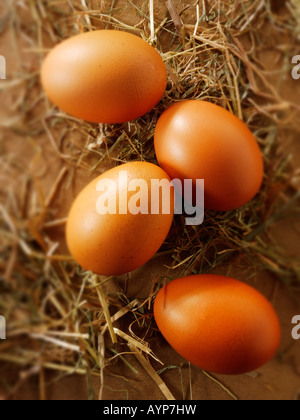 Burford Brown organic free range chicken eggs - Soft focus Stock Photo ...